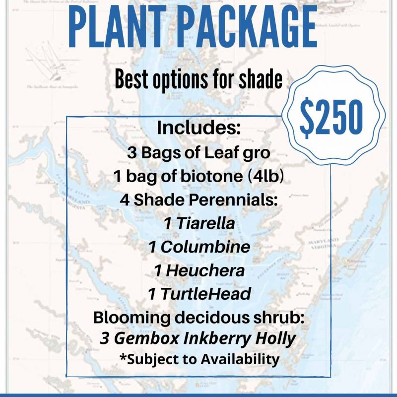 Chesapeake Native Plant Package - Shade - Himmel's Landscape & Garden ...