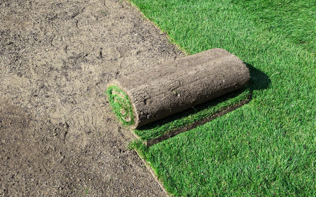 Maryland Certified Sod - Himmel's Landscape & Garden Center | Pasadena, MD